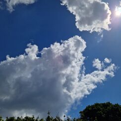 Weer Tiel: Nu - Morgen - 14-daagse + Regenradar