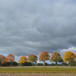 Weer Zeist: Nu - Morgen - 14-daagse + Regenradar