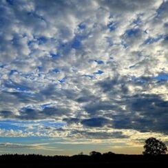 Weer Zeist: Nu - Morgen - 14-daagse + Regenradar