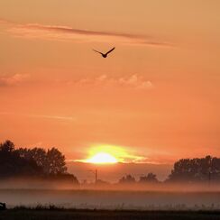 Weer Friesland: Nu - Morgen - 14-daagse + Regenradar