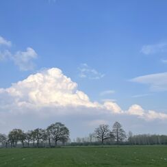 Weer Duiven: Nu - Morgen - 14-daagse + Regenradar