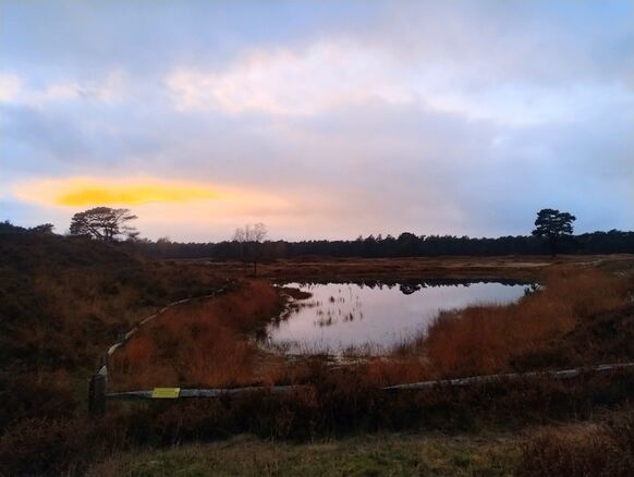 Hoe de herfst de zonsondergang extra magisch maakt - Weer.nl